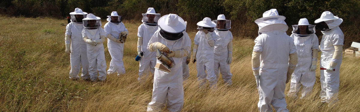 Round Rock Honey, Homepage - Round Rock Honey